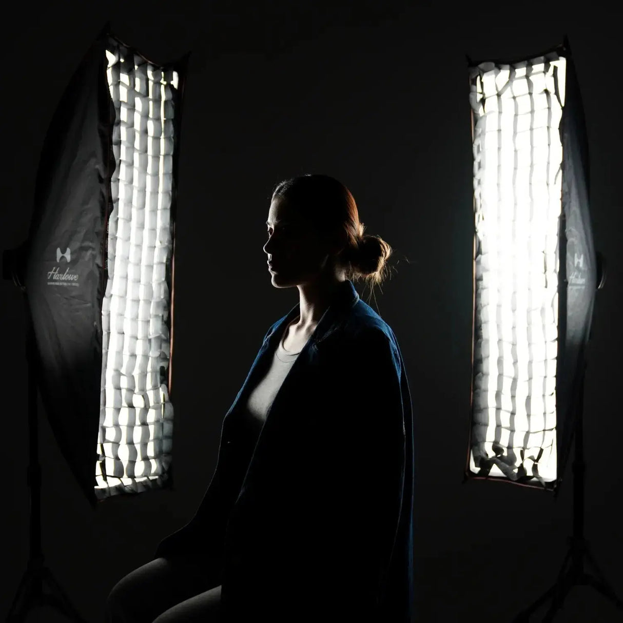 Harlowe Quick Release Softbox Set 1x4ft / 2x3ft (30x120 / 60x90) with ...